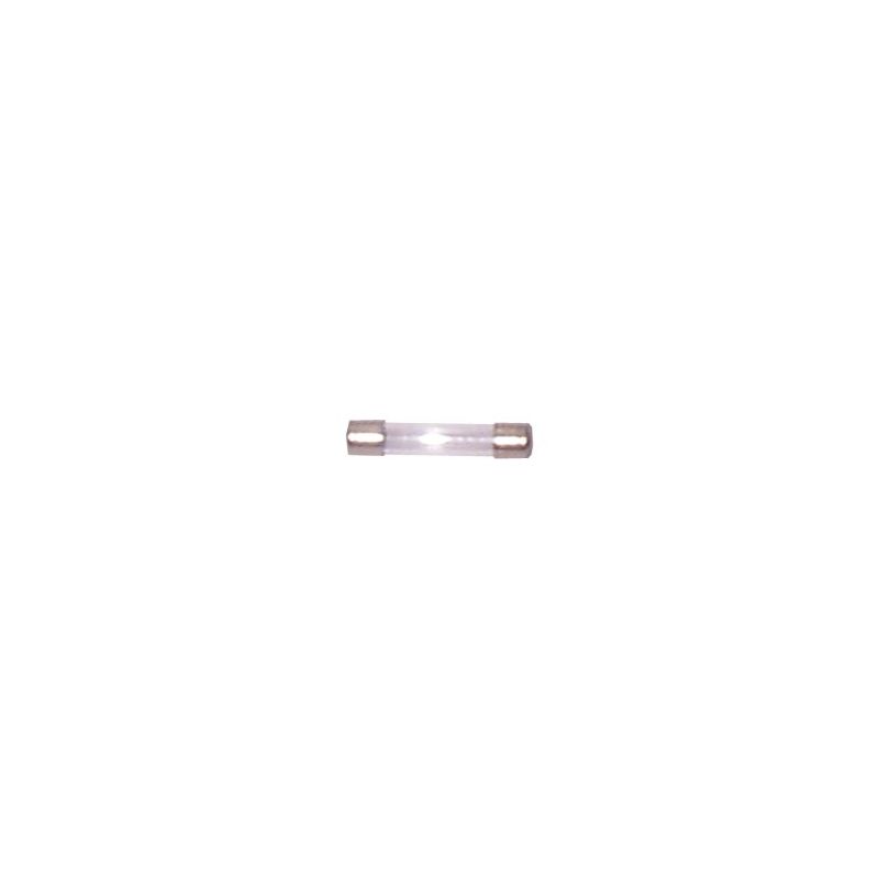 Norcold 61611622 Refrigerator 5 Amp 110 Volt Glass Tube Fuse - 61611622
